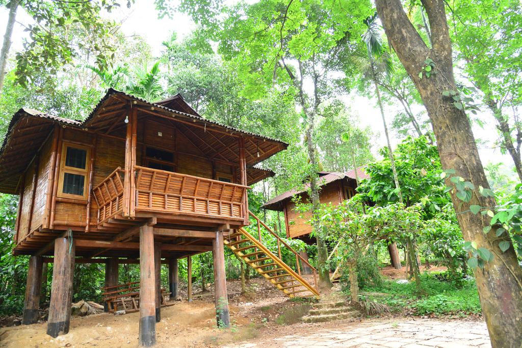 BAMBOO HUT | Wayanad homestay resorts |INDIVIDUAL HUT|
