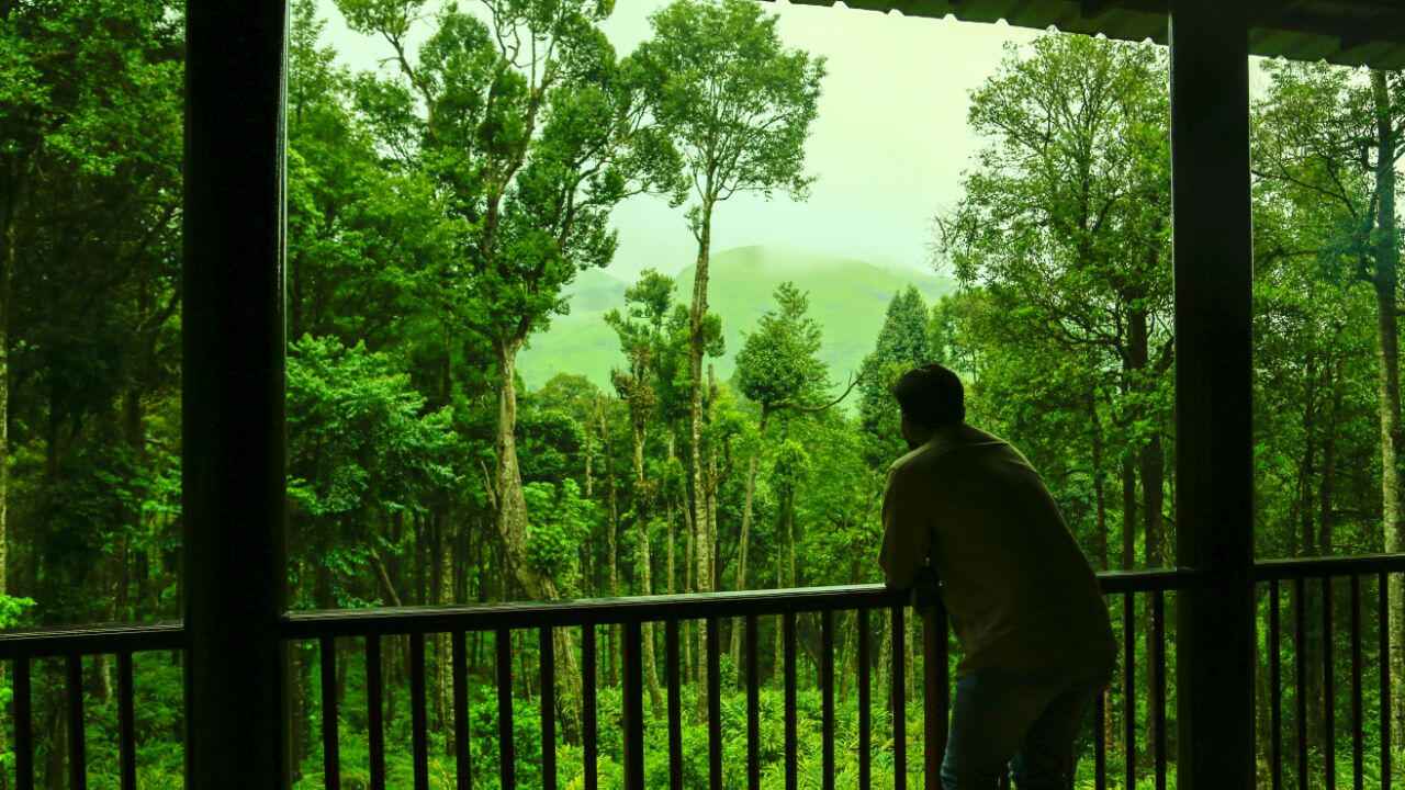 WAYANAD FOREST STAY | Wayanad homestay resorts |wayanad homestays|